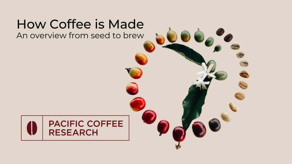Coffee Education – Pacific Coffee Research
